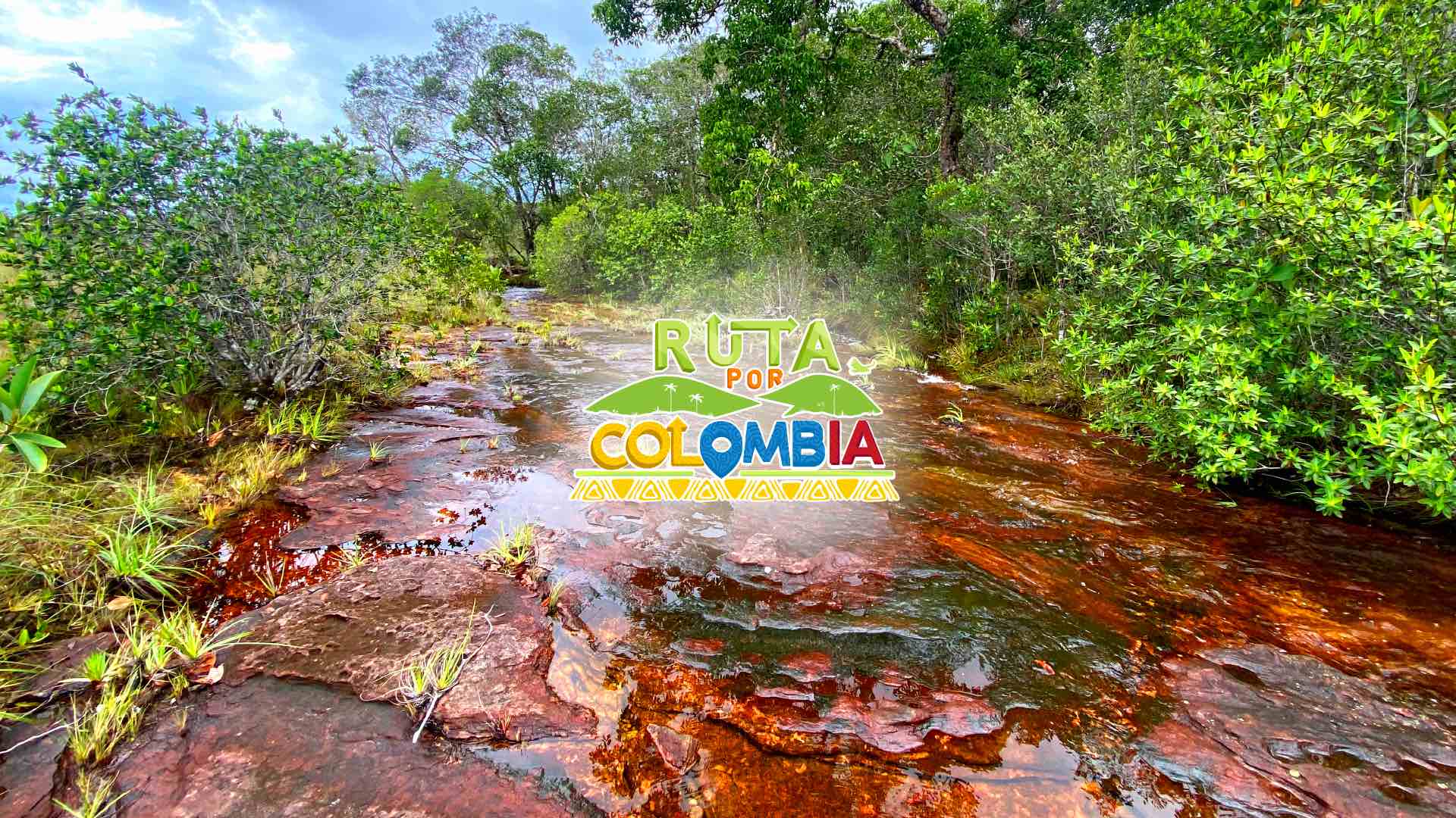 Hablamos con Sergio Borja, “showrunner” de Ruta por Colombia, el nuevo ...